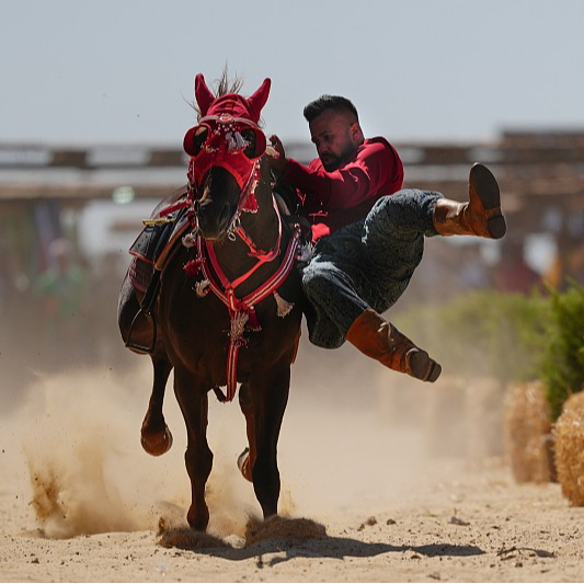 Scientists trace origin of the modern horse to a 4,000-year lineage - CGTN