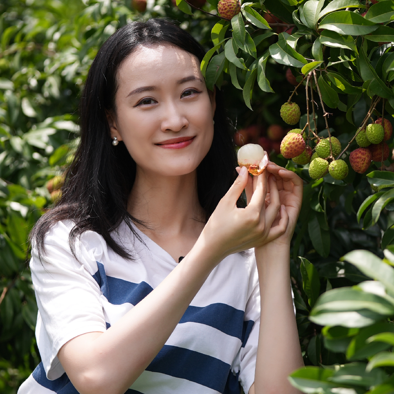 Live: Lychee economy empowered by 5G livestream - CGTN