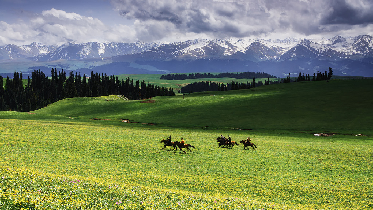 Live: Enchanting scenery of Kalajun Grassland in NW China's Xinjiang - CGTN