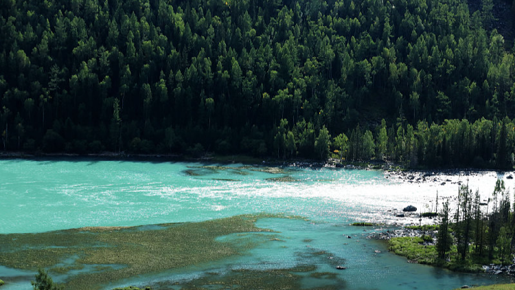 Live: Admire the breathtaking views of Wolong Bay in Xinjiang – Ep. 4 ...