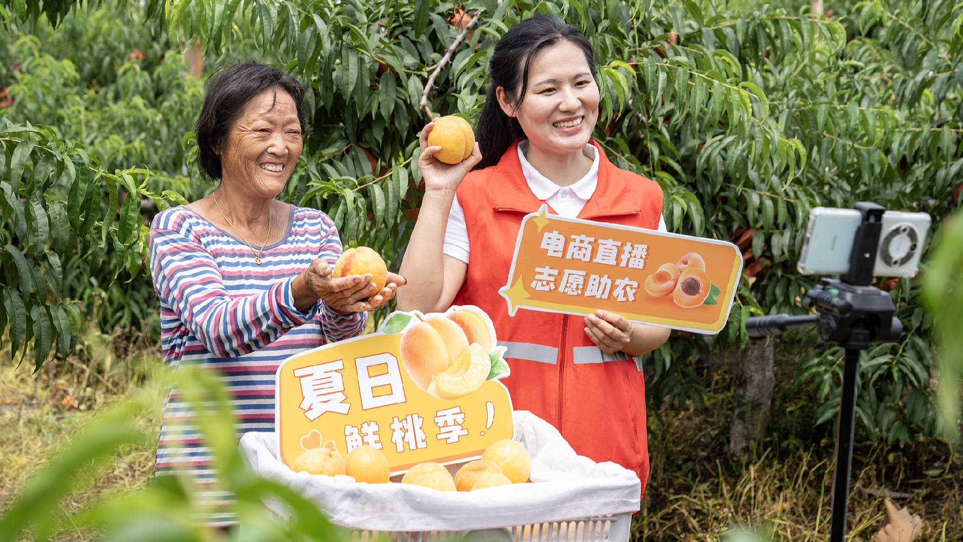 Grassroots CPC members' live streaming boosts rural revitalization - CGTN