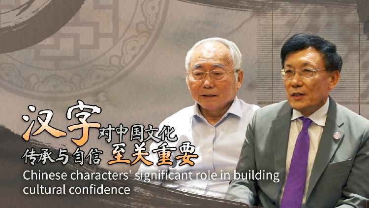 Chinese characters' significant role in building cultural confidence - CGTN