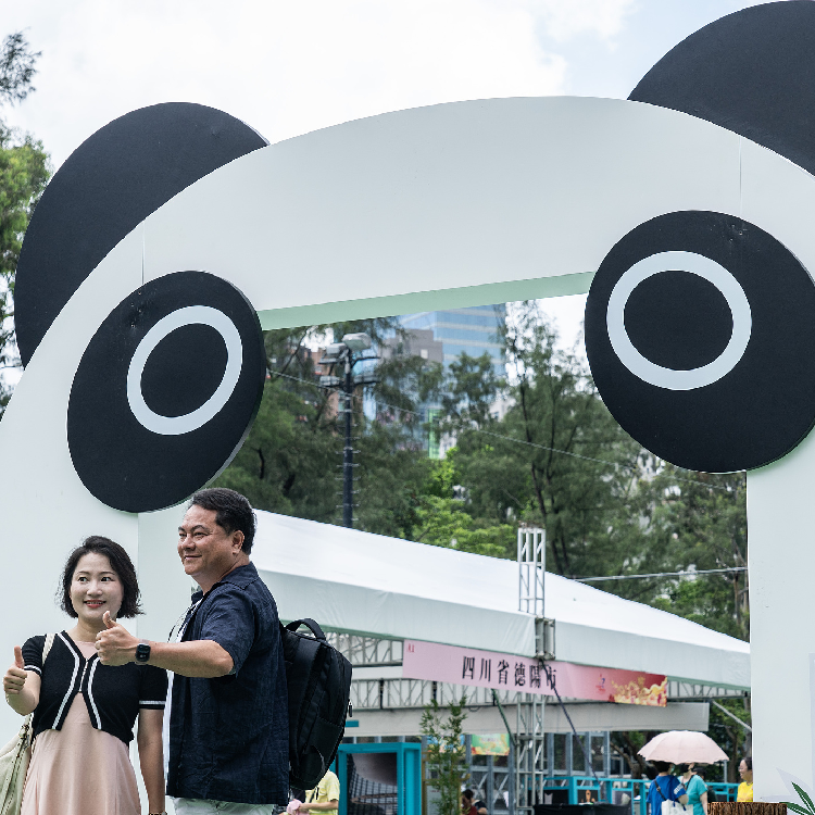 HKSAR to welcome new pair of giant pandas from central government - CGTN
