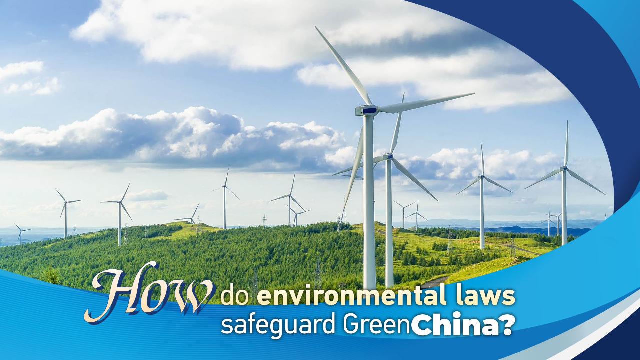 How do environmental laws safeguard Green China? - CGTN
