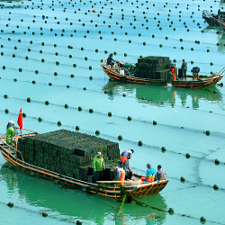 Promoting the building of an ocean community of shared future - CGTN