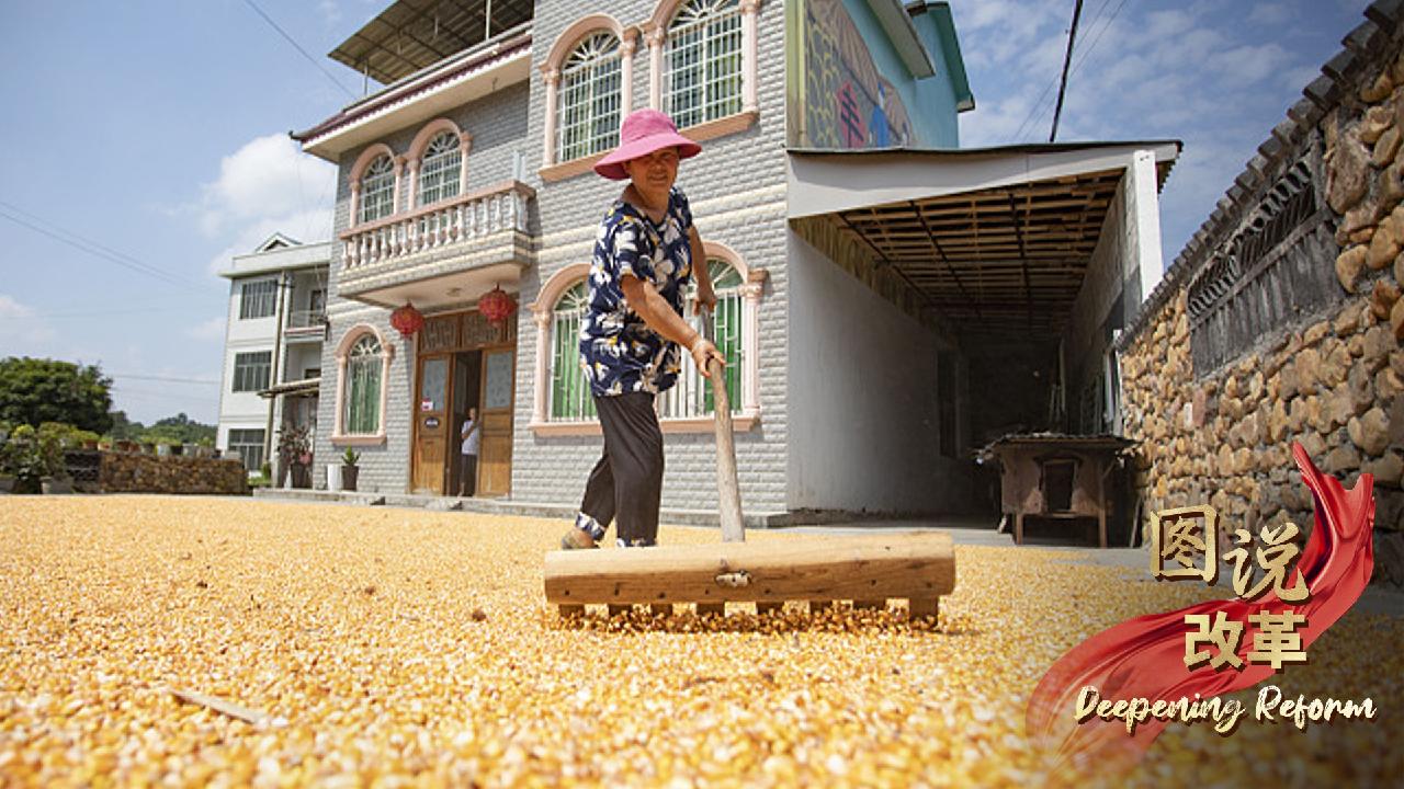 China sees improved living environment in rural areas - CGTN