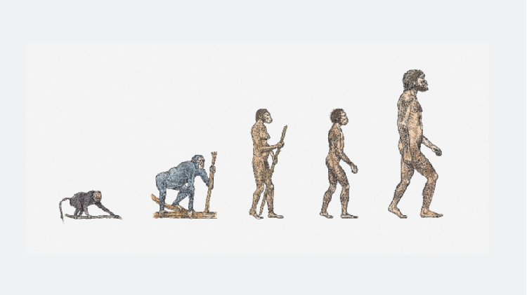 Scientists call for African-led research to unravel human evolution - CGTN