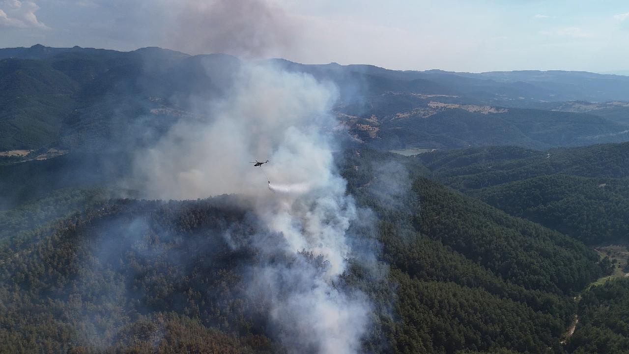 Türkiye to plant over 500 m seeds to restore wildfire-damaged forest - CGTN