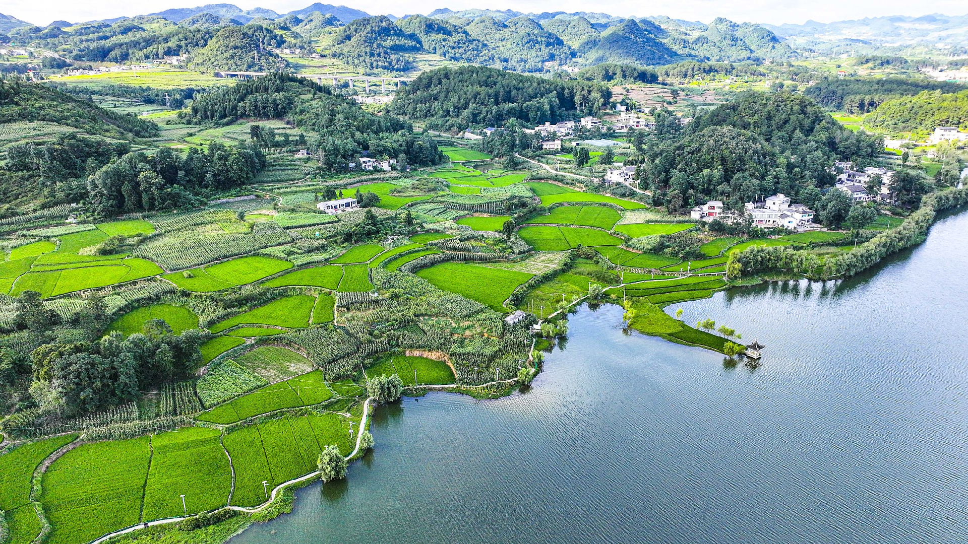 China outlines key tasks for ecological conservation - CGTN