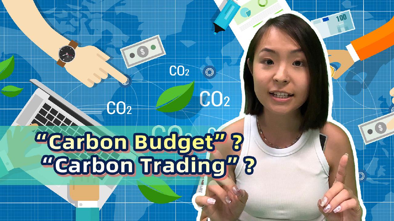 Understanding carbon trading and carbon budgets - CGTN