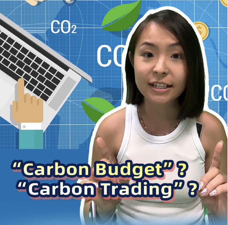 Understanding carbon trading and carbon budgets - CGTN