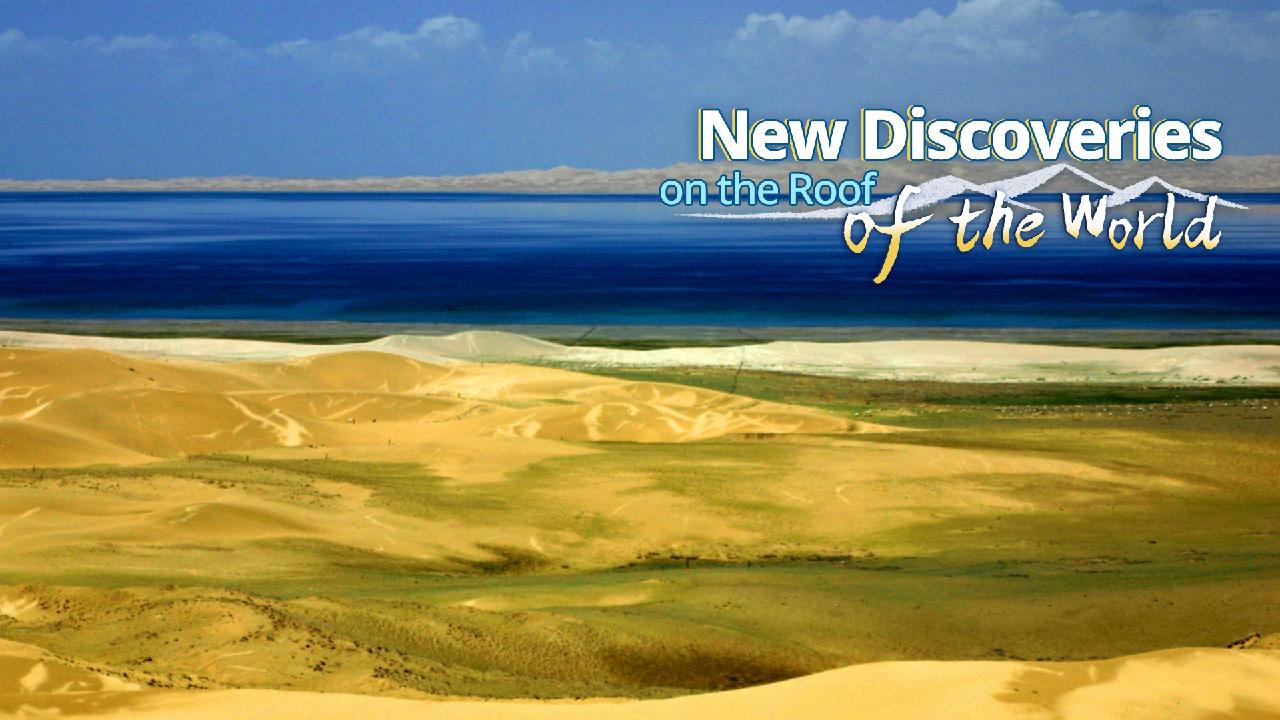 Qinghai-Xizang Plateau turning warmer, wetter and greener - CGTN