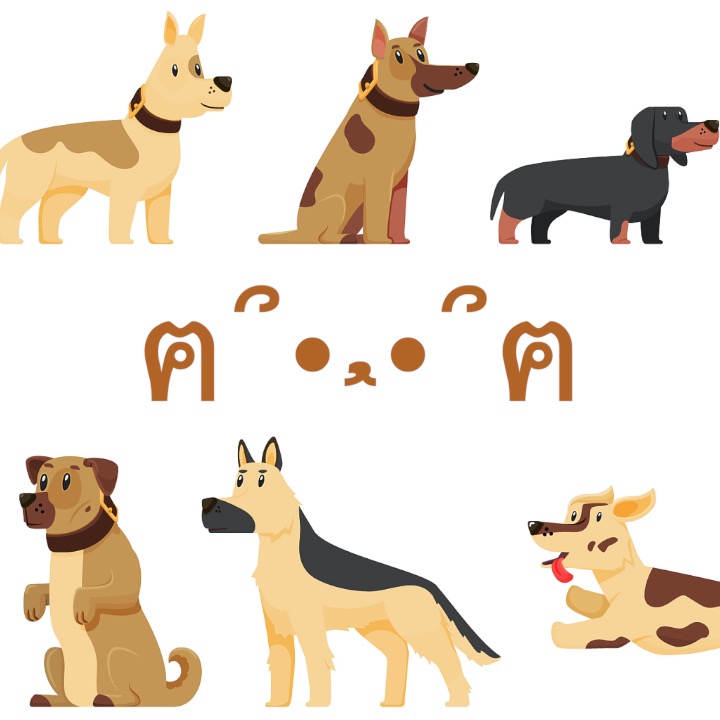 Culture Atlas: A deep dive into China's Dog lore - CGTN