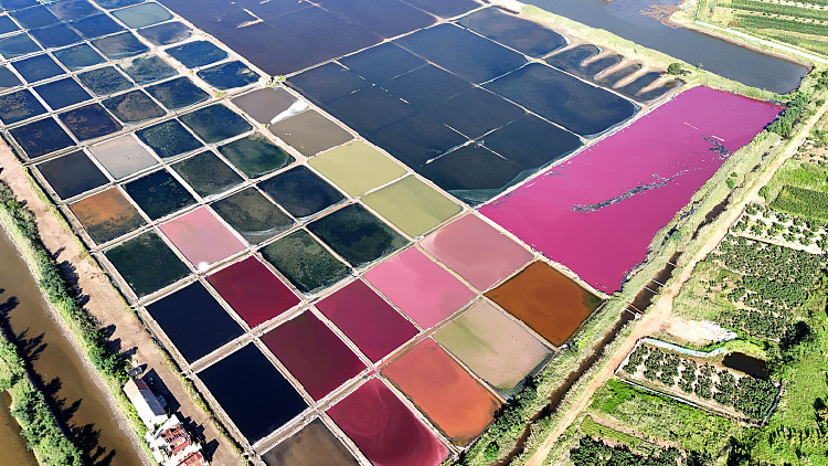 Salt fields reflect their natural charm from on high - CGTN