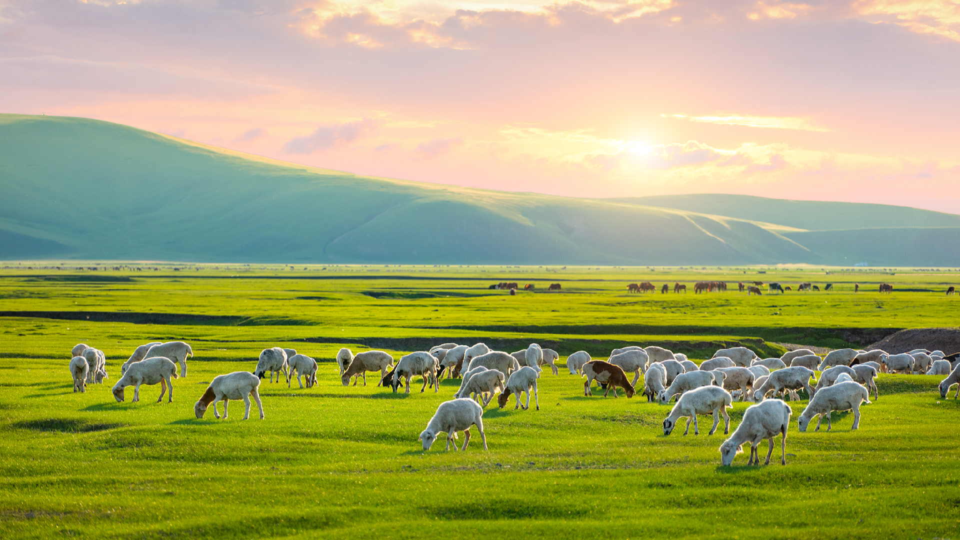 @China: Inner Mongolia, land of natural splendor and endless horizons - CGTN