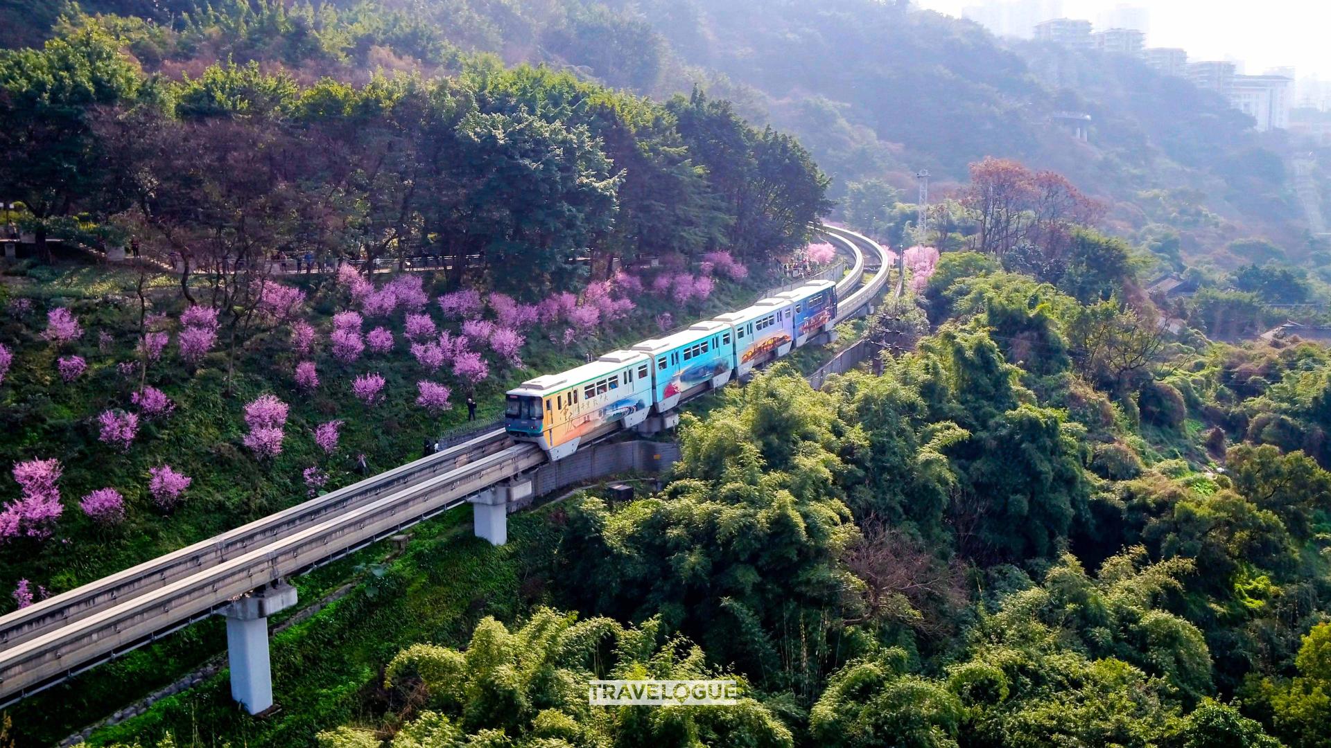 The world's longest monorail system - Uplacp.com