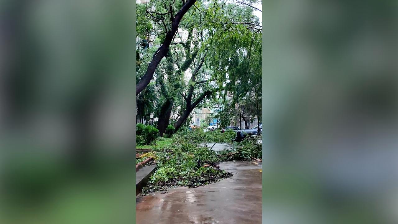 Super Typhoon Yagi hits Hainan, causes extensive damage - CGTN