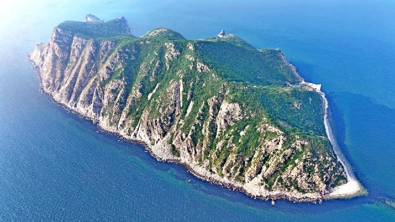 Record number of raptors sighted in NE China's nature reserve - CGTN