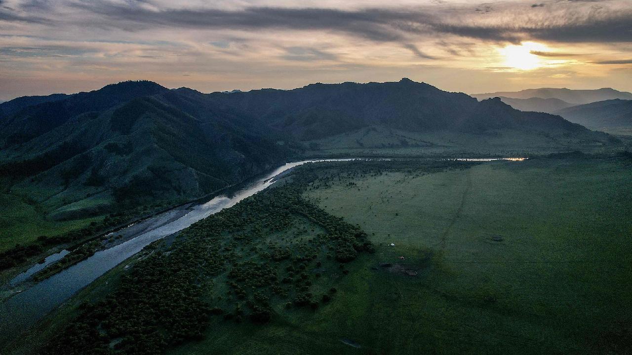 Mongolia plants 84 million trees since 2021 to combat desertification ...
