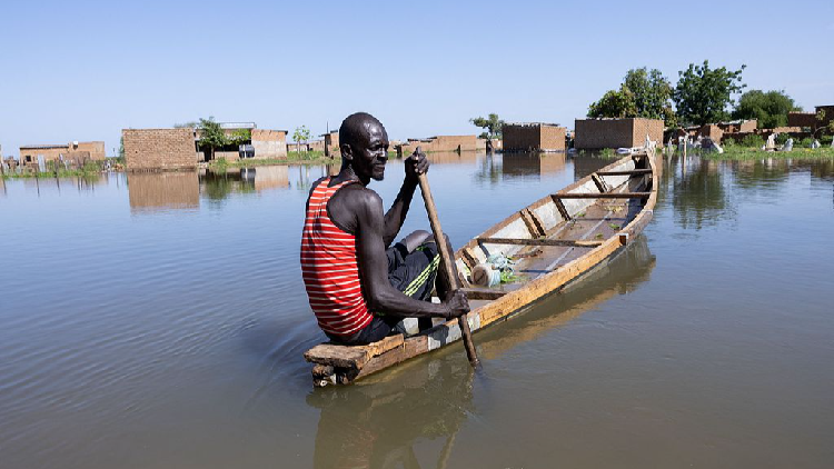 River in flood-hit Chad's capital surges to record level - CGTN