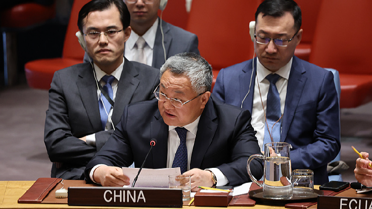 China calls for revitalizing effectiveness of UNSC resolutions on Gaza ...