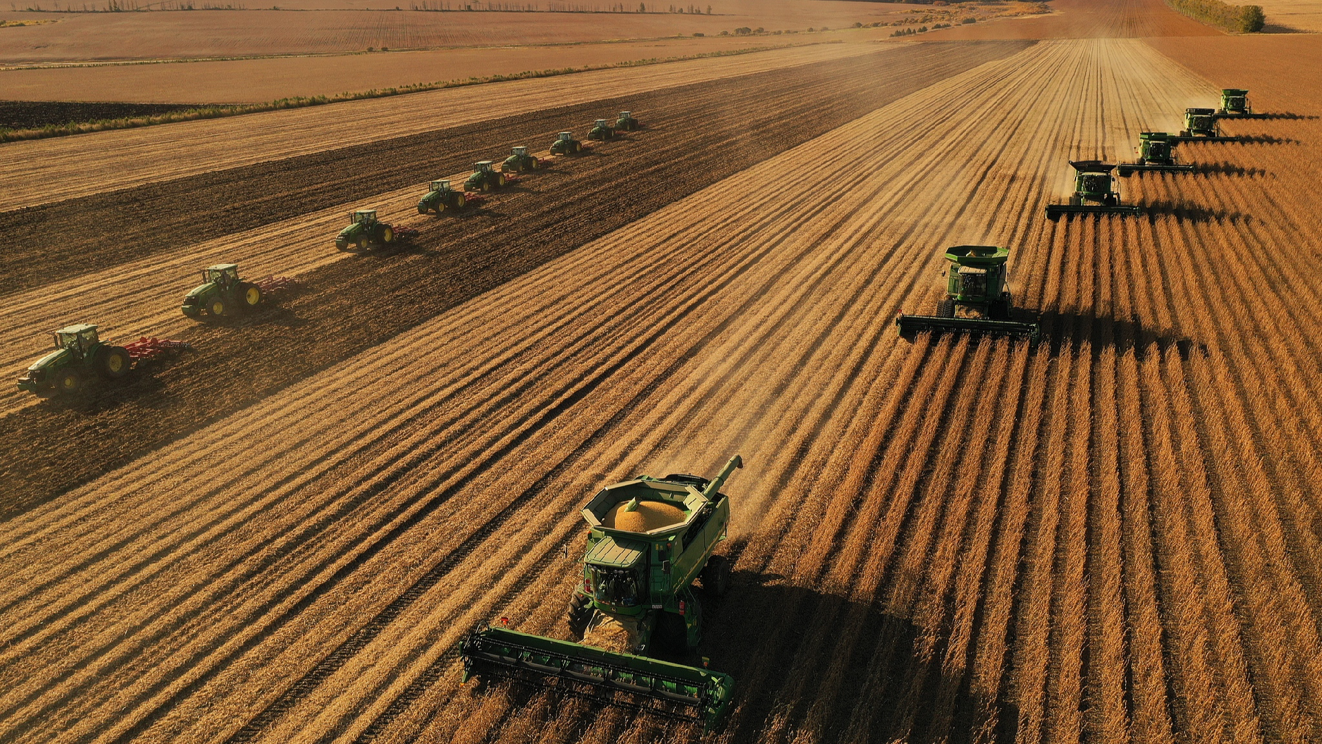 China's 2024 grain output to exceed 700 mln tonnes for 1st time - CGTN
