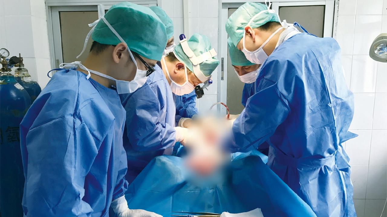 Chinese Scientists Revive Pig Brain That Had Been Dead for 50 Minutes ...