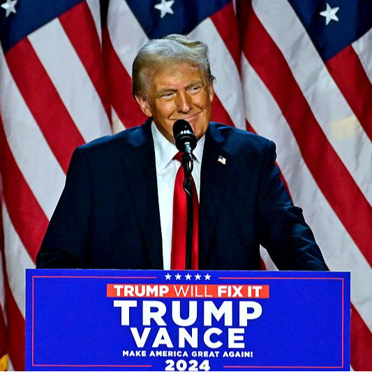 Trump declares victory in election night speech addressing supporters ...