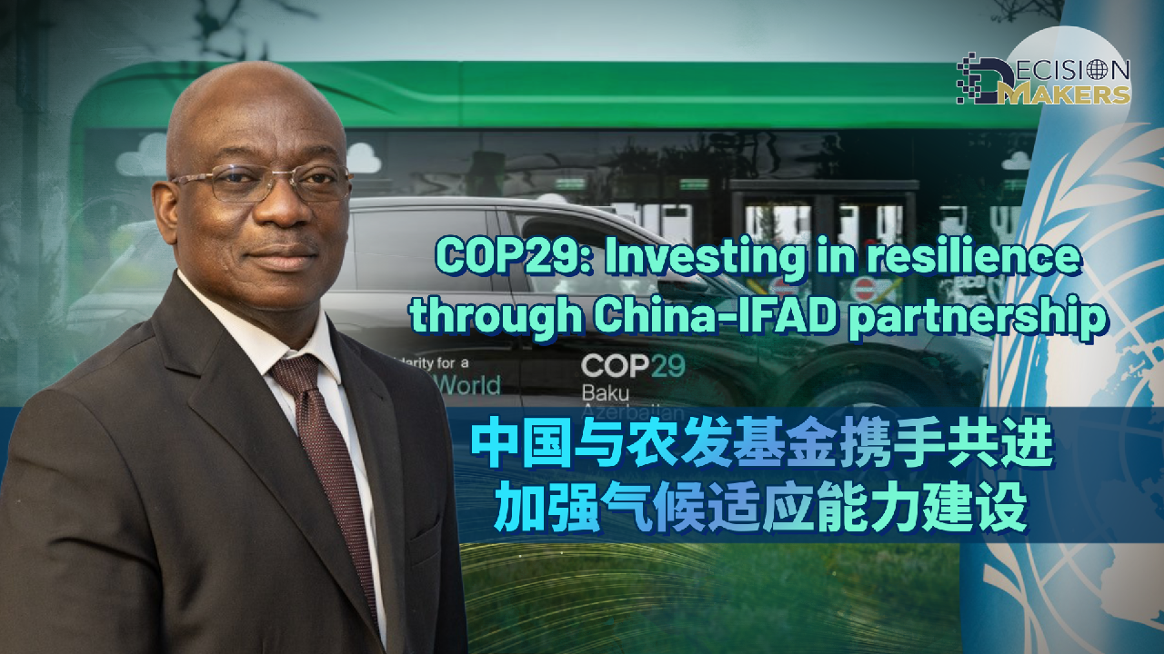 COP29: Investing in resilience through China-IFAD partnership - CGTN