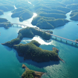 South-to-North Water Diversion Project boosts water supply and ecology ...