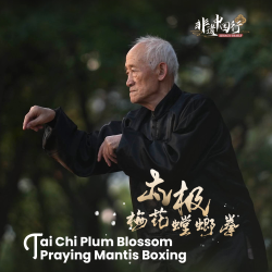 Legacy Trails: Tai Chi Plum Blossom Praying Mantis Boxing - CGTN