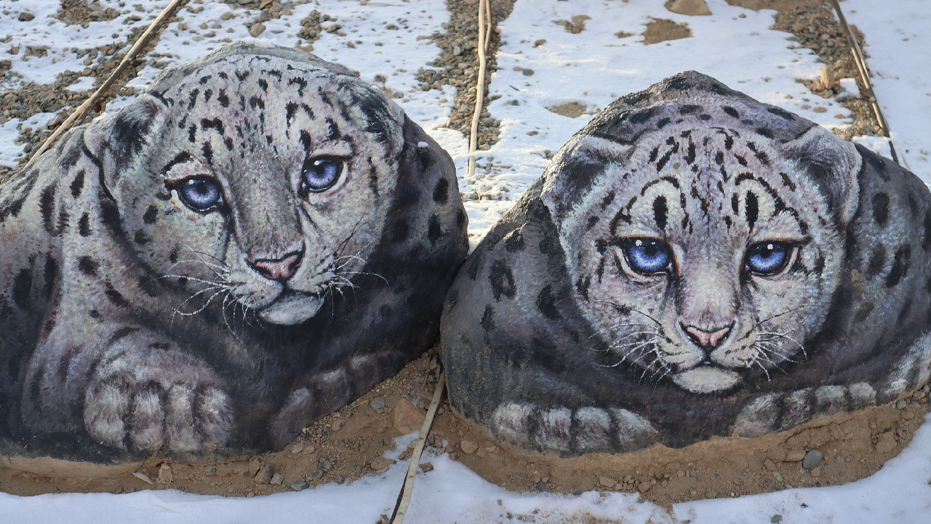 Lifelike rock paintings draw visitors to Xinjiang geological park - CGTN