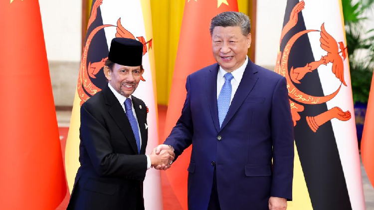 President Xi holds talks with Brunei's Sultan - CGTN