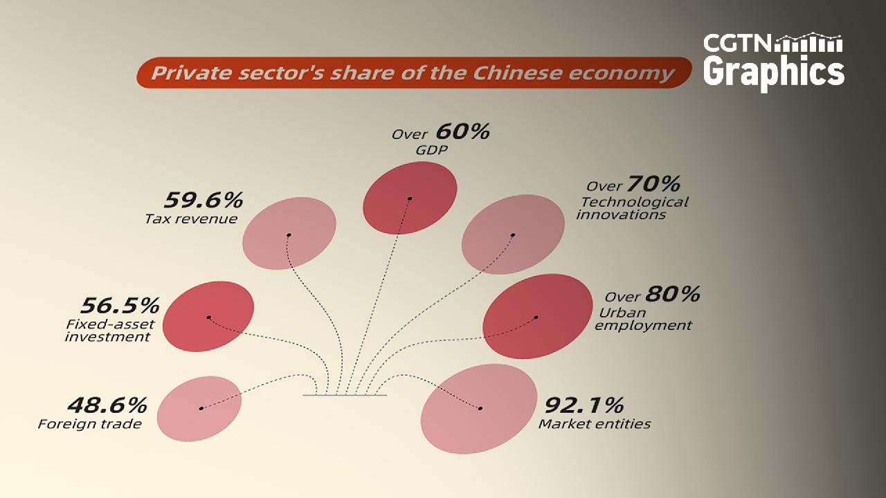 Graphics: Private sector's share of the Chinese economy - CGTN