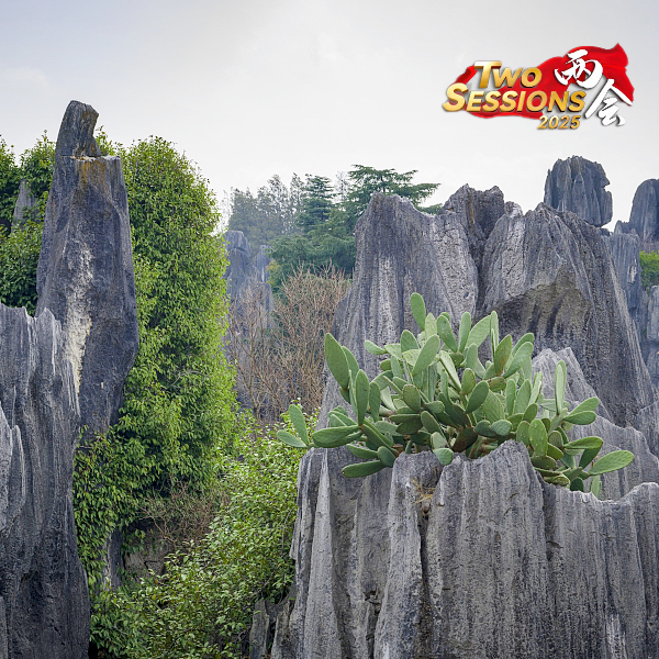Live: Discover Shenjian Stone Forest, south China's Guangxi - CGTN