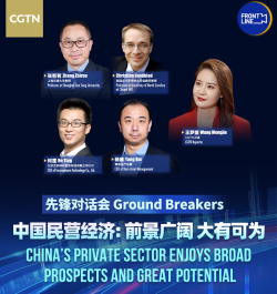 Watch: China's private sector enjoys broad prospects, great potential ...