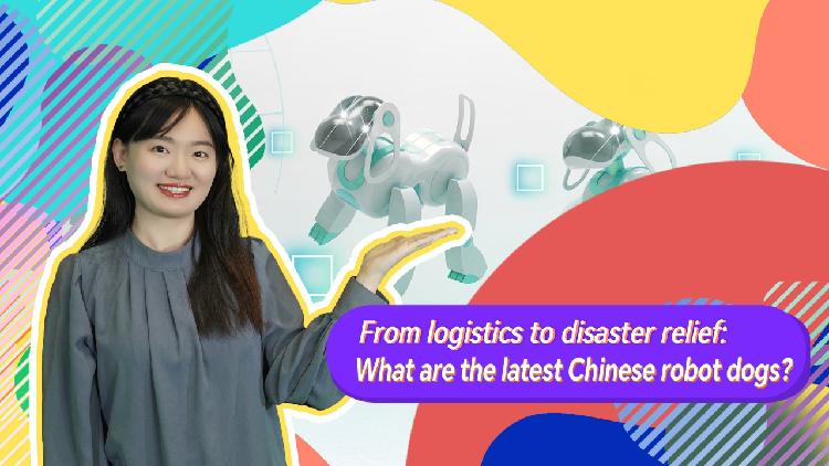 What are the latest Chinese robot dogs? - CGTN