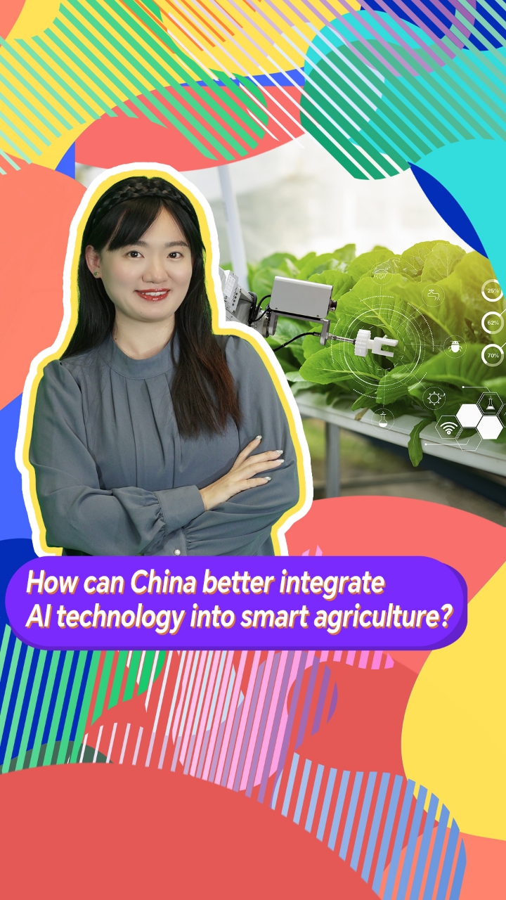 Video News of Global Edition, Video Stories of China | CGTN