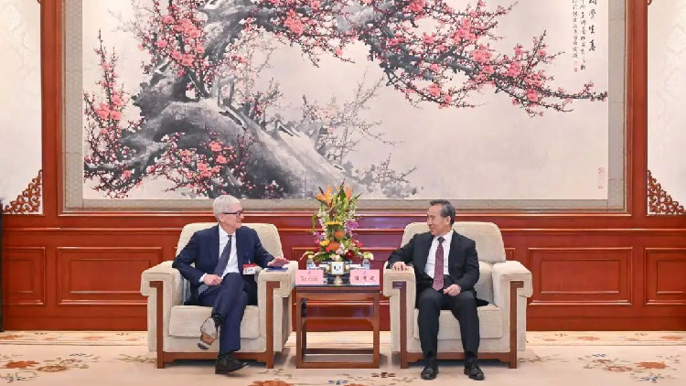 CDF 2025: Global business leaders express confidence in China's future ...