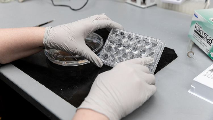 Nature survey: About 75% of U.S. scientists are considering leaving - CGTN