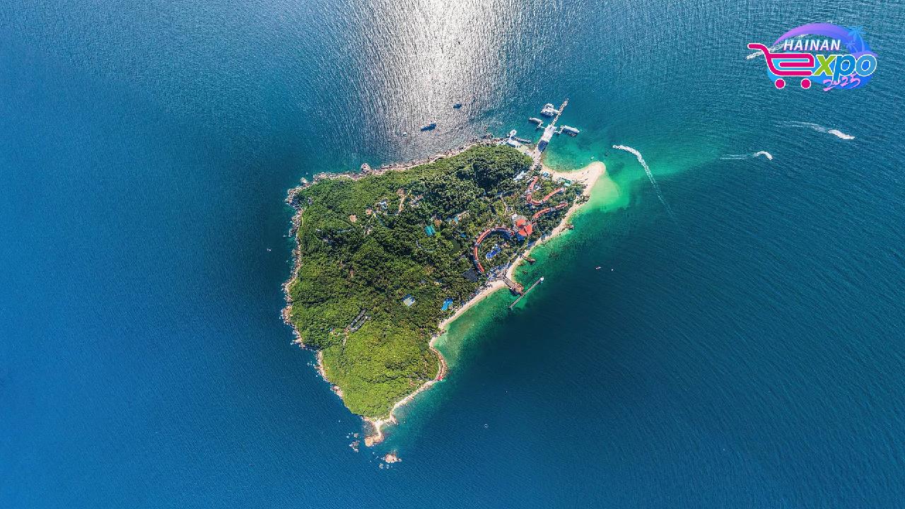 Live: Diving into Hainan Wuzhizhou Island's mesmerizing ocean wonders ...