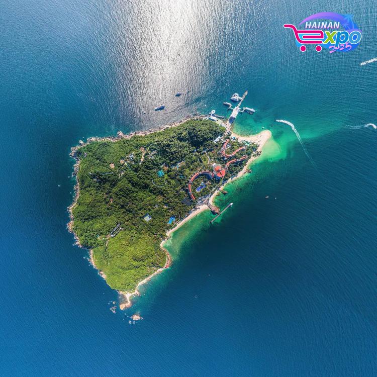 Live: Diving into Hainan Wuzhizhou Island's mesmerizing ocean wonders ...