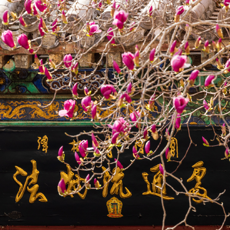 Mentougou's temples, villages and cinematic charm - CGTN