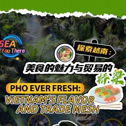 Pho ever fresh: Vietnam's flavor and trade mesh - CGTN