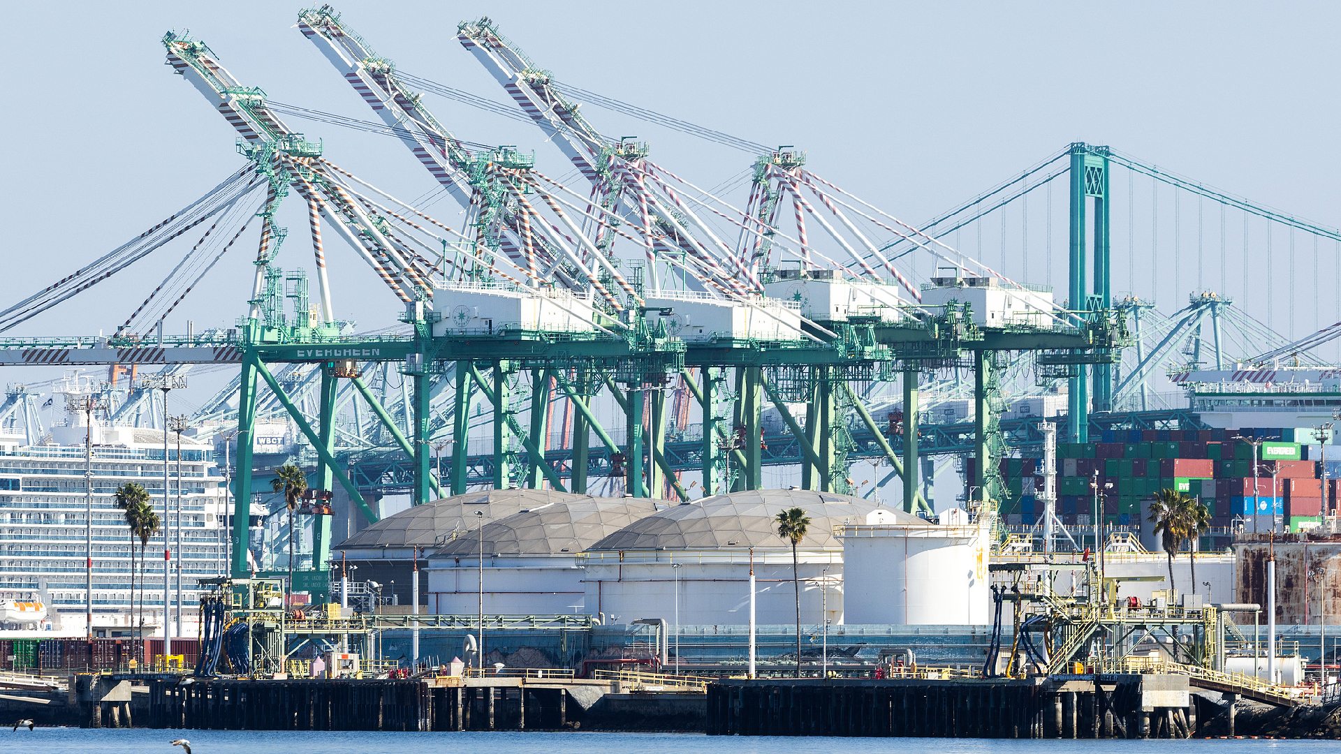 Over 970 people sign 'anti-tariff declaration': reports - CGTN