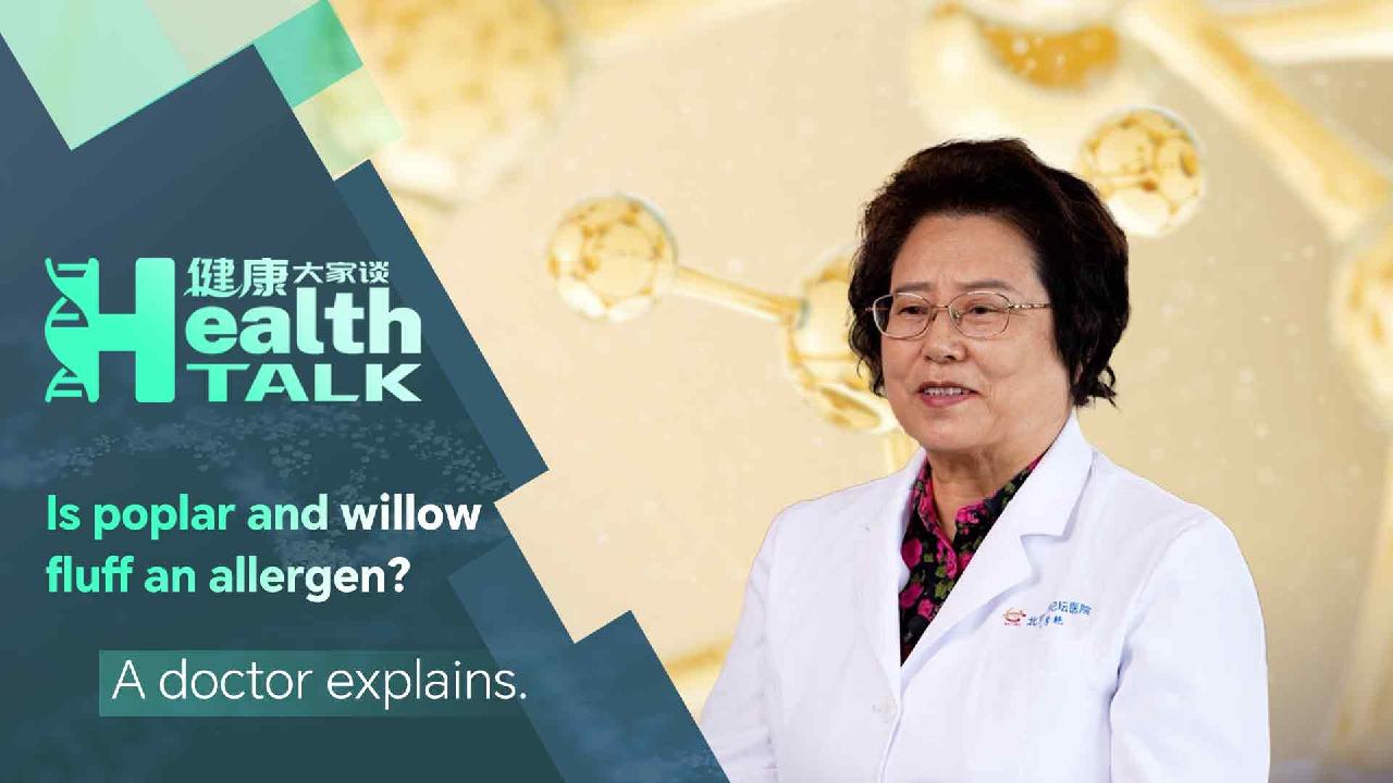 Is poplar and willow fluff an allergen? A doctor explains - CGTN
