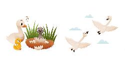 'The Ugly Duckling,' a story shared between China and Denmark - CGTN