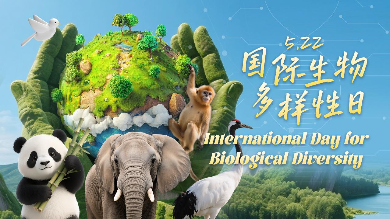 International Day for Biological Diversity - CGTN