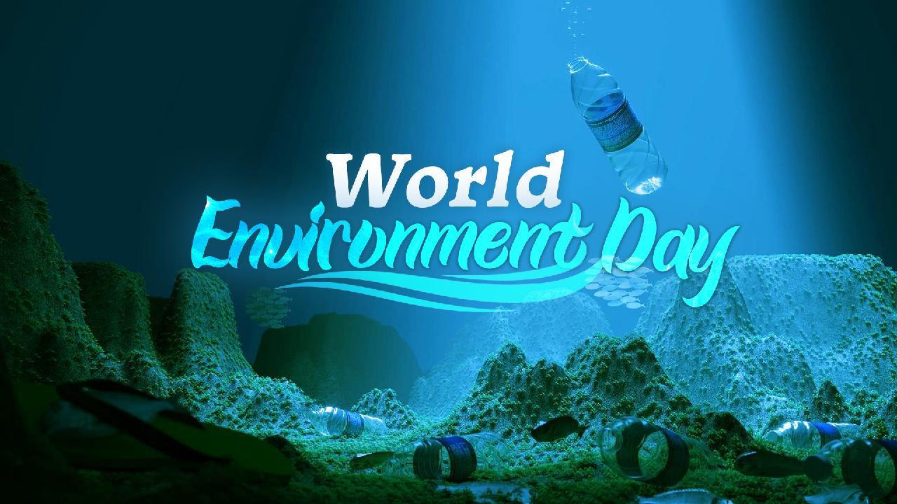 Ending plastic pollution: Policy and technological innovation - CGTN