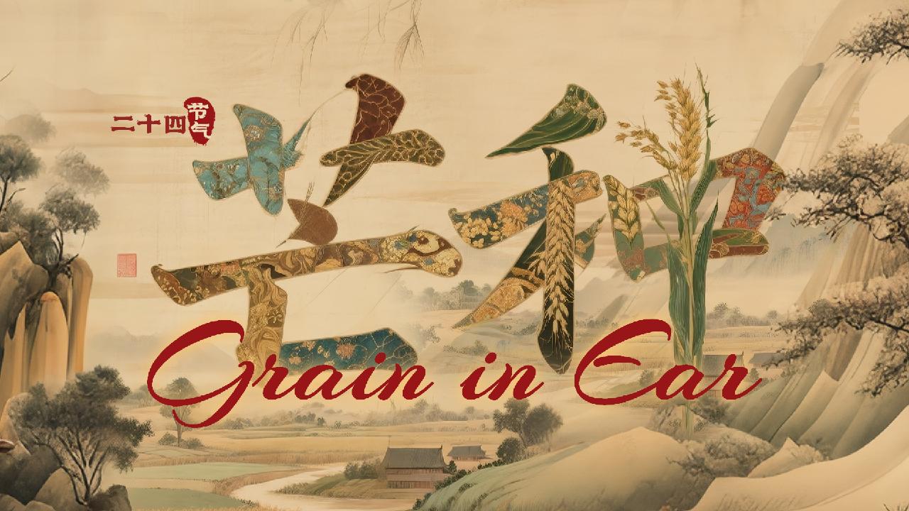 Mangzhong, or Grain in Ear - CGTN